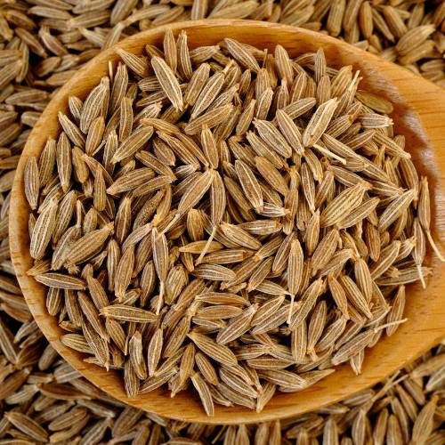 Home - Iqbal Agro Exim